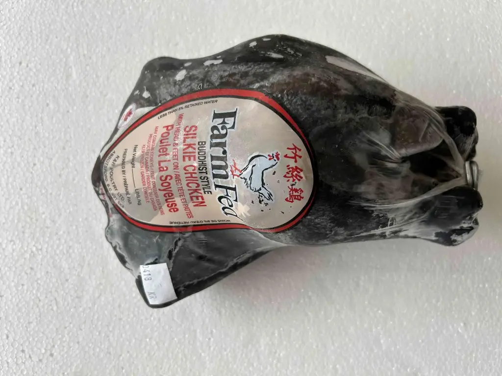 Silkies | 竹絲雞 (cs) | Fraser Valley JS